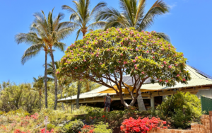 I Spent a Day on Lanai...Here’s Why It’s Maui’s Best-Kept Secret - HulaLand