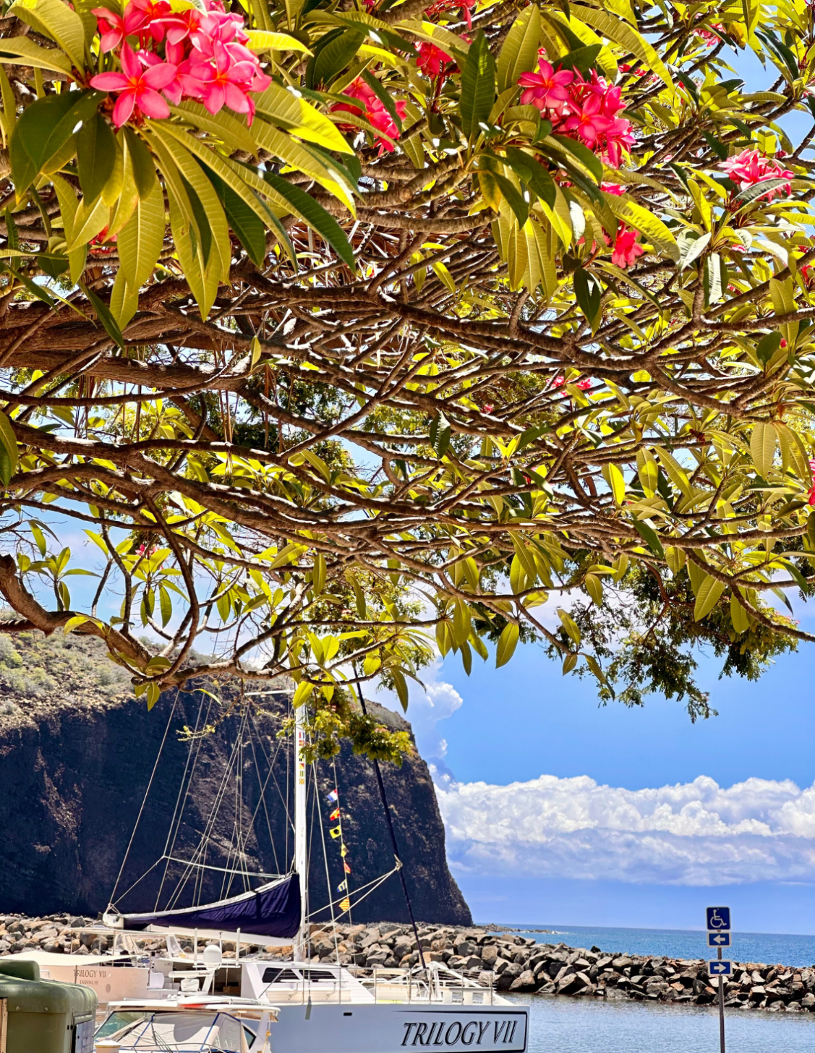 Molokini vs Lanai: The Truth About Maui’s Most Hyped Snorkel Spots ...