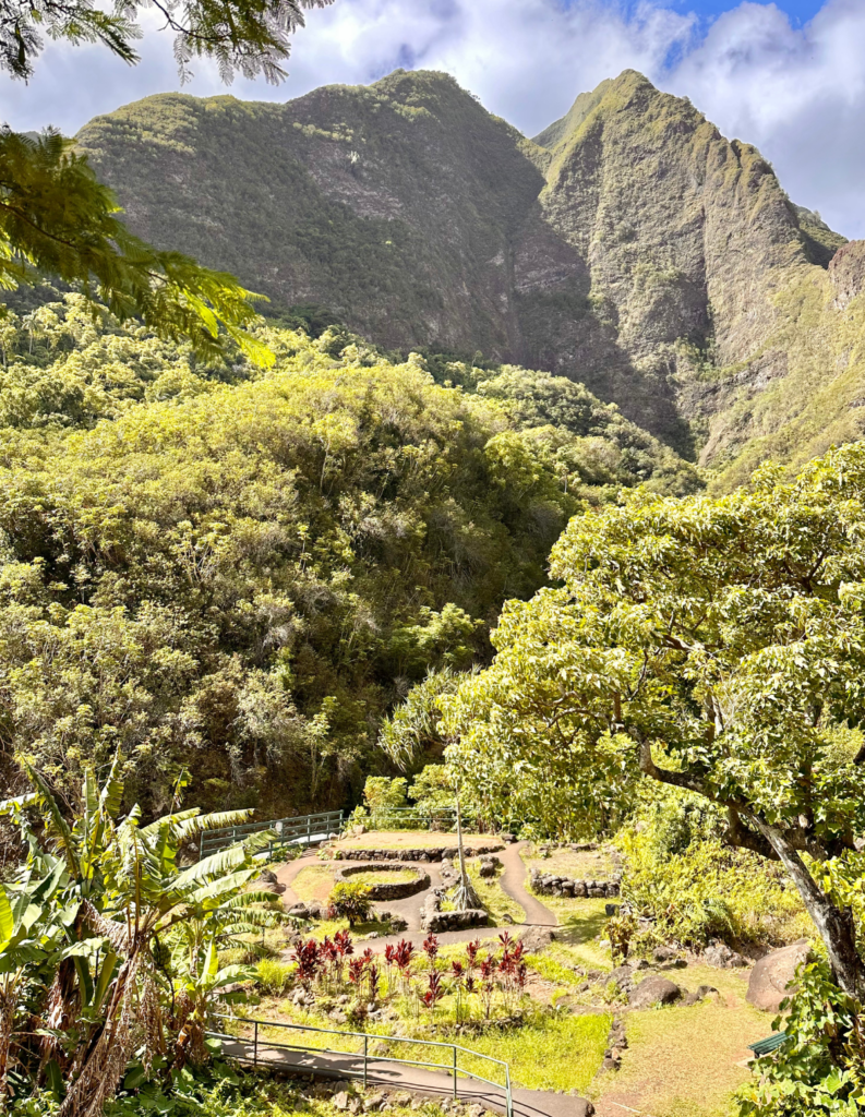 This Lush Green Valley on Maui Feels Like a Real-Life Jurassic Park ...