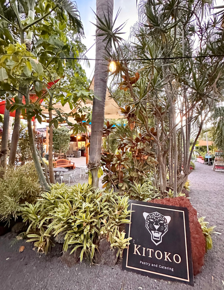 The Hula Show at South Maui Gardens: Maui’s Best Unconventional Luau Option - HulaLand