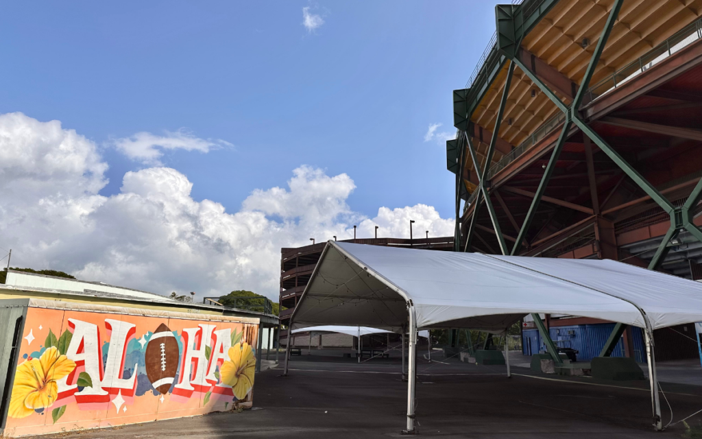 The Truth about the Aloha Swap Meet: Is It Worth It? - HulaLand