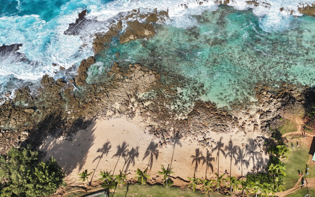 This Snorkeling Spot in Hawaii is So Good, Locals Wanted to Keep It ...